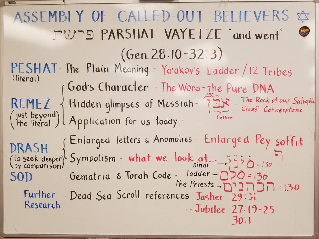 Torah Parashah Vayetze