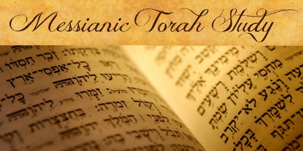 Torah study | Assembly of Called-Out Believers