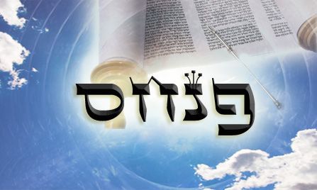 Prophetic Principles behind Pinchas and the Plague!